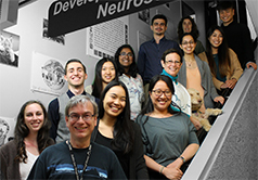 DCN Lab - Adele Diamond - Lab Photos